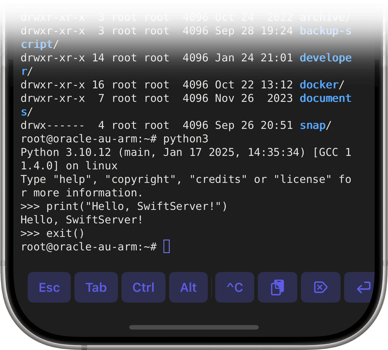 SwiftServer - Linux Monitoring & SSH
